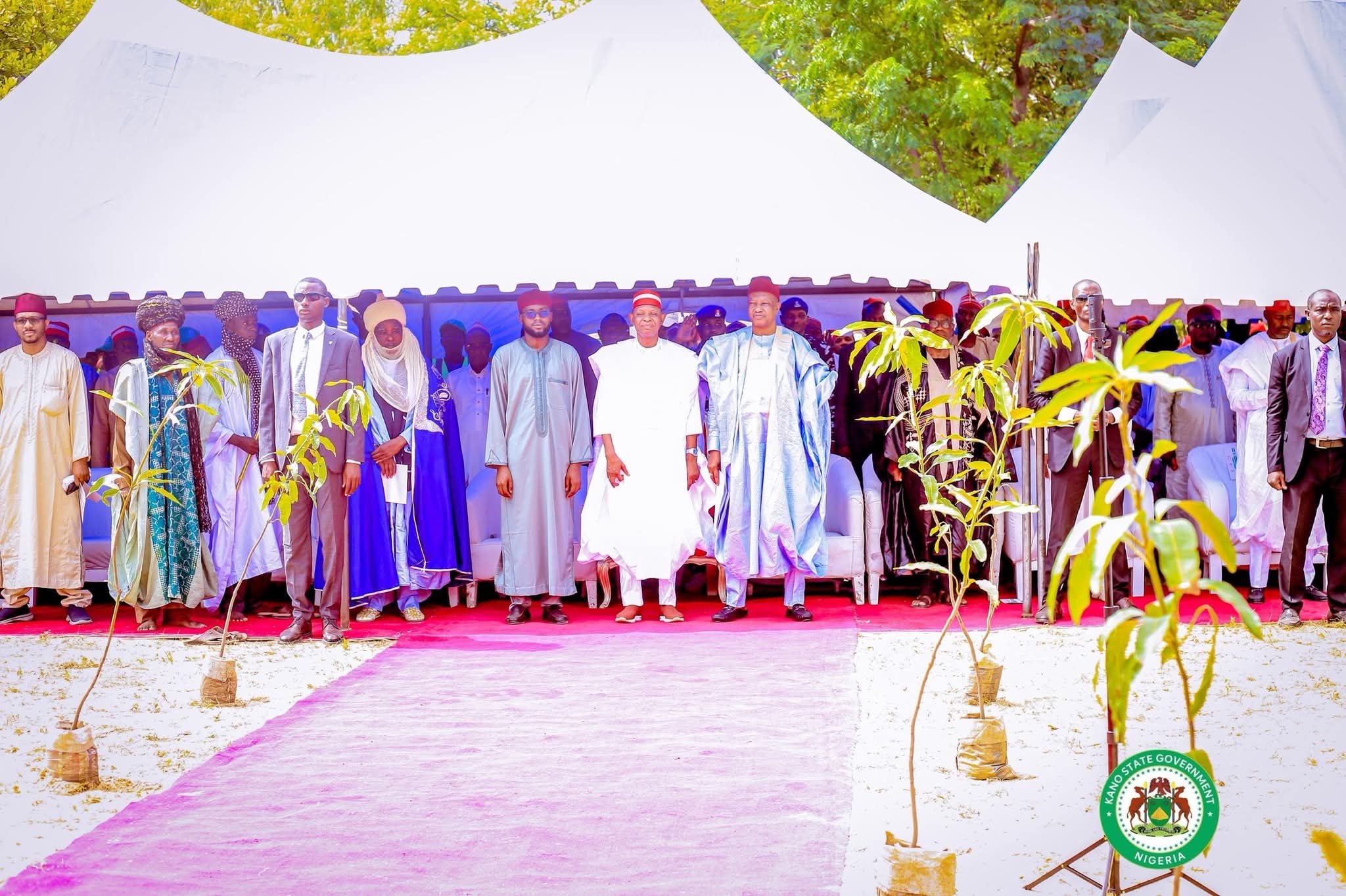 Kano Govt distributes 5.5 million trees to combat desertification ...