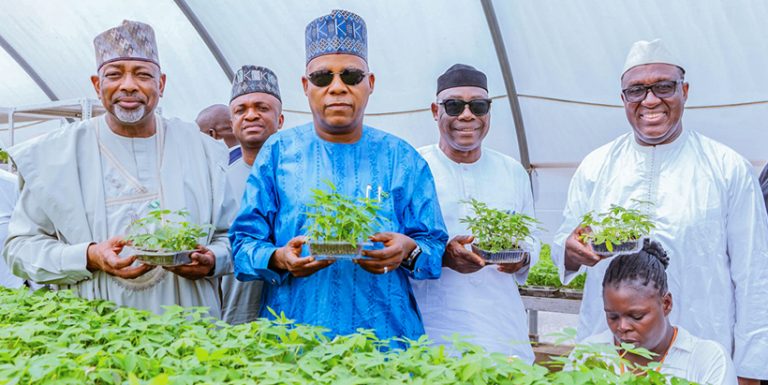 Nigeria bets on climate-smart seeds as 57 new crop varieties target ...